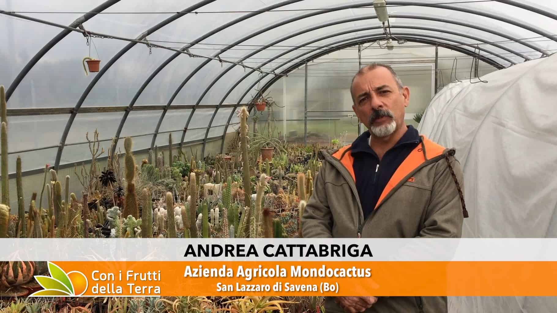 Florovivaismo in grande sofferenza: l'appello di Andrea Cattabriga di ...